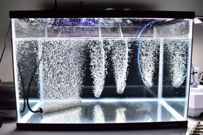 水作「Air-Max 12000 C-4」レビュー。静音性は？【エアーポンプ】 – アクアハーミット